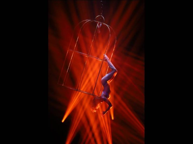 Golden aerial cage - Entertainment Agency | Corporate Event Entertainment